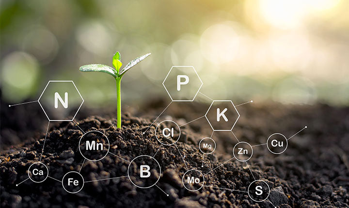 IUM - The natural power of trace elements - IUM Paris | Oligo Cosmétiques
